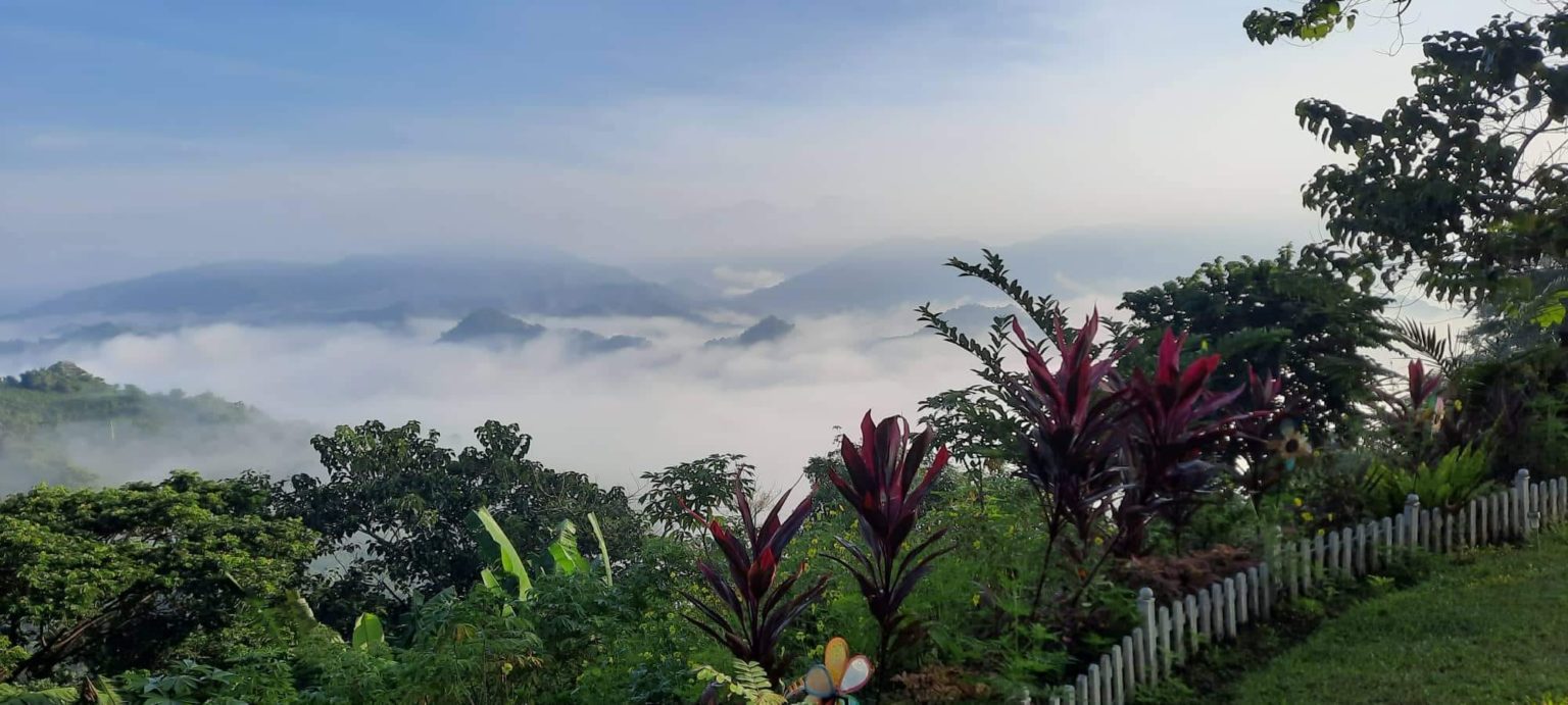 MORNINGS COULD NEVER BE BETTER: SPOTS IN ANTIPOLO WITH SEA OF CLOUDS ...
